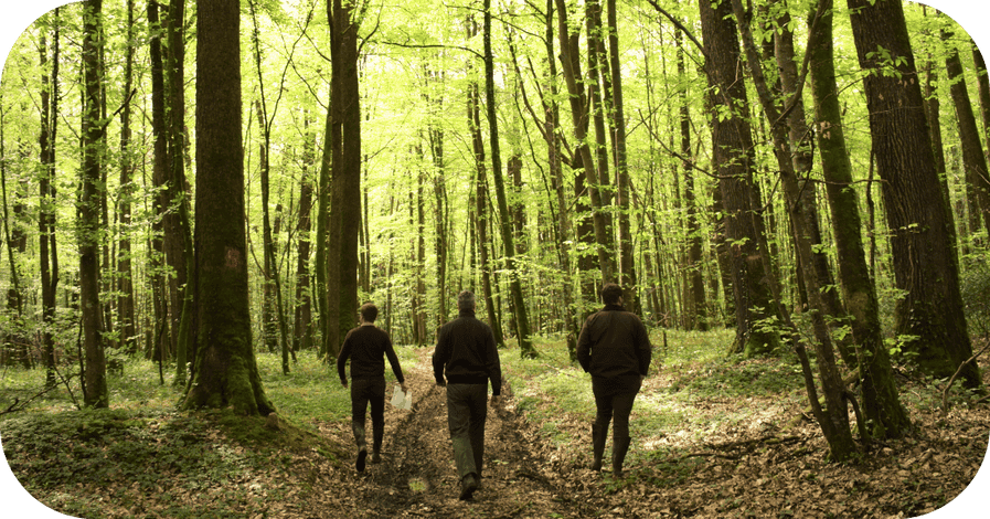 Plan Simple de Gestion | Actifs naturels et Gestion durable | France Valley